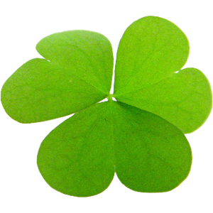 不同平台CRT的区别？什么是UCRT?如何看libc源代码? - 今日头条